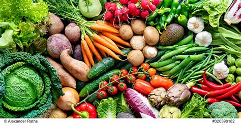 Vegetarische und vegane Ernährung Infos Tipps und Rezepte