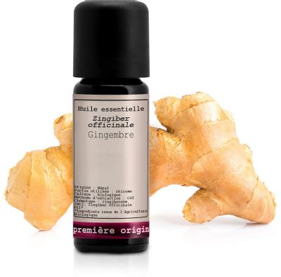Acheter huile essentielle Gingembre Bio Zingiber officinalis du Népal