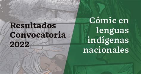 Resultados de Comic en Lenguas Indígenas 2022 El valor de las