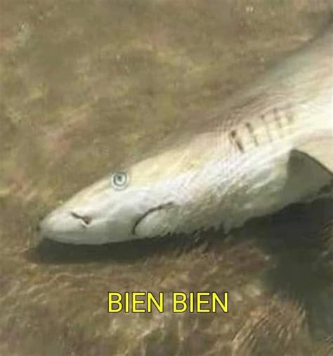 E Garcia on Twitter RT itsD3lay Cuando me preguntan Cómo estás