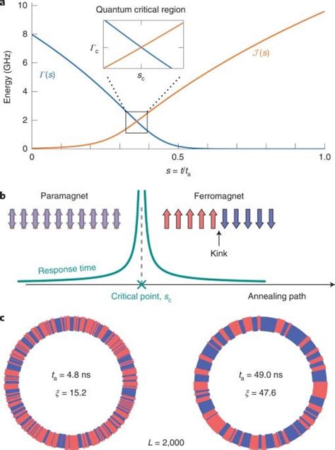 coherent quantum annealing in a programmable 2 000 qubit ising chain r quantumcomputing