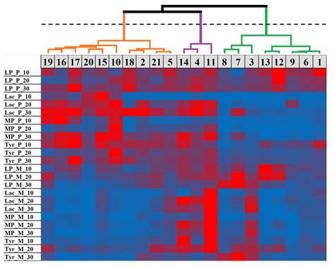 the hierarchical clustering dendrogram combined with a heat map showing download scientific