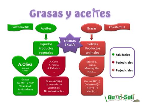 Diferencias Entre Grasas Y Aceites En La Alimentaci N Cu L Es La