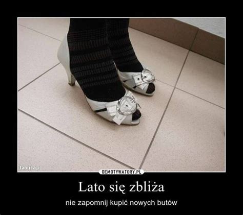 Wakacje memy najlepsze memy i śmieszne obrazki na upalne lato