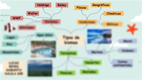 SOLUTION Mapa Mental Tipos De Biomas Studypool 62928 The Best Porn
