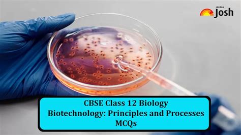 Important CBSE Class 12 Biology Biotechnology Principles And Processes
