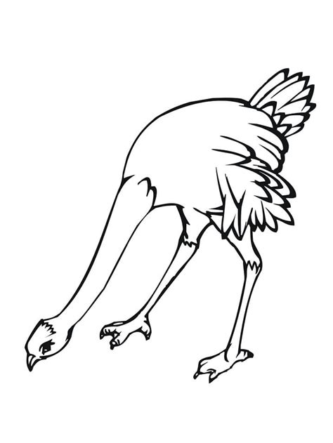 Dibujos De Avestruz 12 Para Colorear Para Colorear Pintar E Imprimir