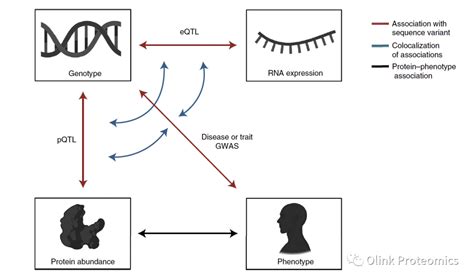 Nature Geneticsdecode Olink