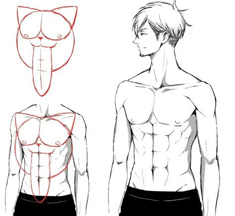 How To Draw Abs Anime Easy This Tutorial Shows The Sketching And