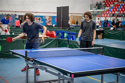 Cupa Webasto La Tenis De Masa Brew News Uav