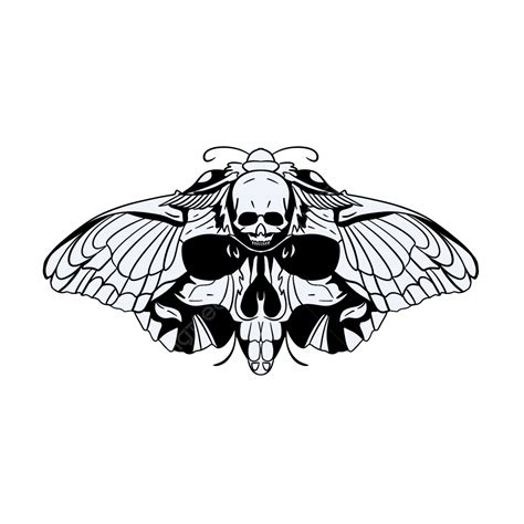 Caveira De Borboleta Png Borboleta Cr Nio Tatuagem Imagem Png E Psd
