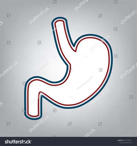 Human Anatomy Stomach Sign Vector Dark Stock Vector Royalty Free