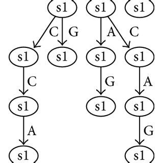 One Example Of The Stepwise Construction Of The Generalized Suffix Tree