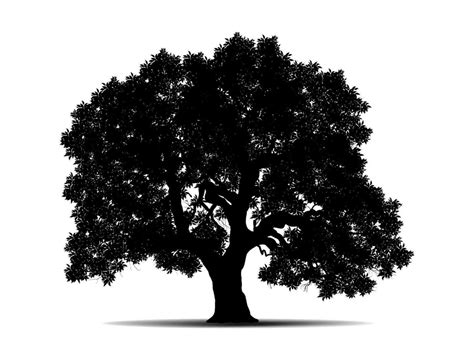 Black Branch Tree Or Naked Trees Silhouettes Hand Drawn Isolated