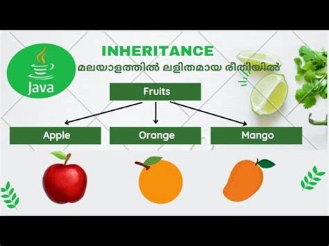 Inheritance In Java Malayalam Java Inheritance Malayalam Malayalam