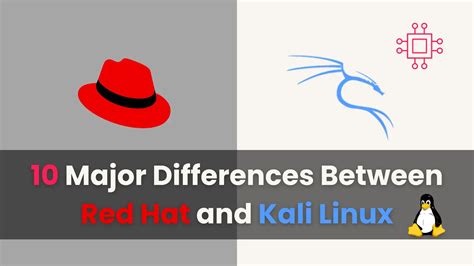 Installing Openvas On Kali Linux Infotechys