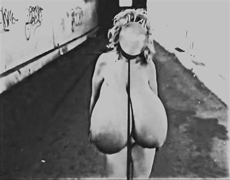Macromastia Wonders 3 65 Pics XHamster