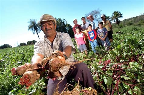 Agricultura familiar do Brasil é 8ª maior produtora de alimentos do mundo