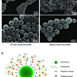 Characterizations Of The Synthesized Nanoparticles A Two