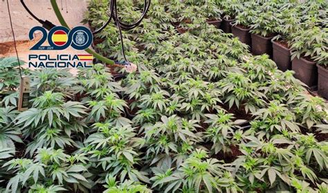 La Policía Nacional detiene en Picassent a seis miembros de una familia