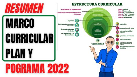 Resumen Completo Plan Y Programas De Estudio Youtube