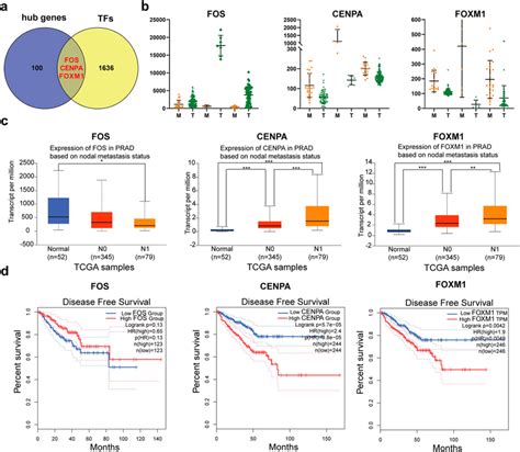 Identification And Validation Of Hub Transcription Factor Genes A