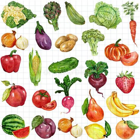 Acuarela Fijada Con Las Frutas Y Verduras Stock de ilustración