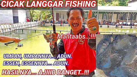 BAM JAGUNG KIDURI ADUN MANCING TOTAL INDUK TOTAL WILAYAH YouTube