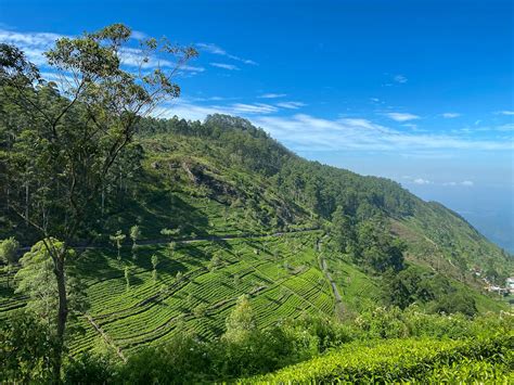Ruta Sri Lanka por libre en 7 10 y 15 días con mapa Aficionados en
