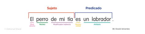 Modificador Indirecto Qu Es Y Ejemplos Lenguaje