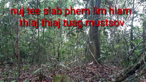 Dab Neeg Siab Phen Lim Hiam Thiaj Tuag Mus Ua Tsov 13 5 2020 YouTube