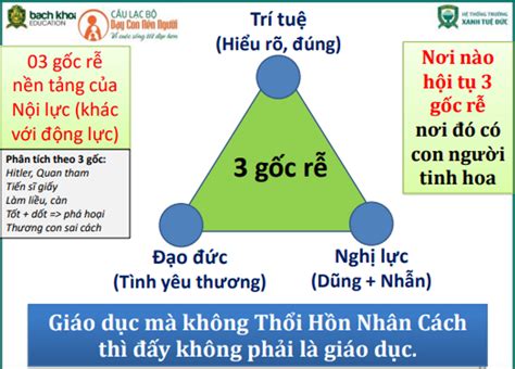 Tam Giác Nhân Cách Khám Phá Bí Ẩn Của Tâm Lý Con Người