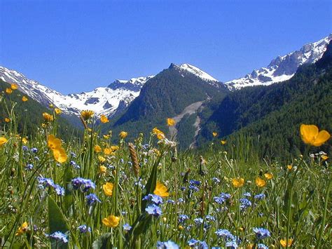 Les plus belles stations de montagne durant l été Montagne France