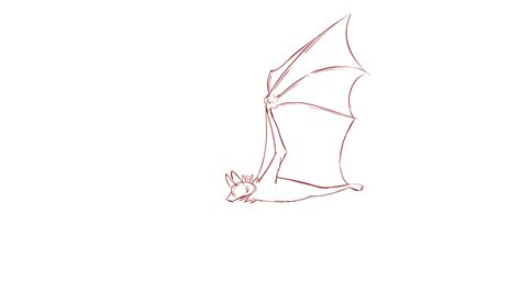 Animation Bat Wings By Generalpanic On Deviantart