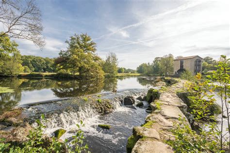 Bonne année Vendée Bocage