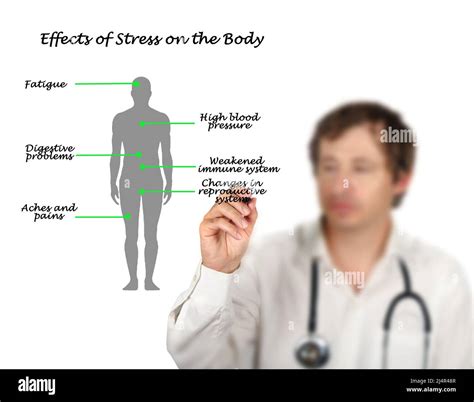 Effects Of Stress On The Body Stock Photo Alamy