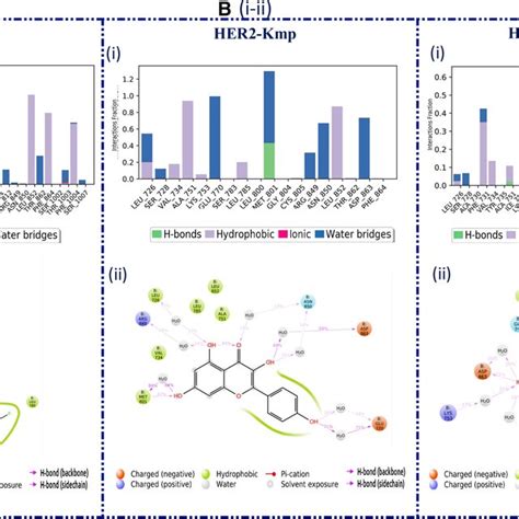 Proteinligand Interaction Profile During The Course Of MD Simulations