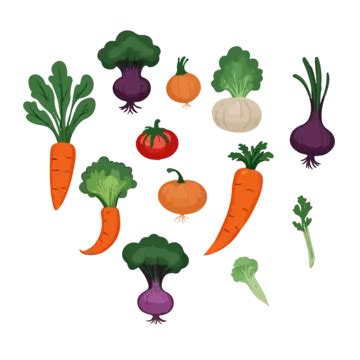 Vegetal En Transparente Vector PNG Verdura Verduras Vegetales Y