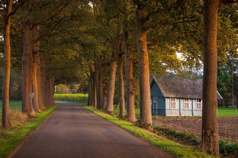 Wandelroutes In Aalten Vind Hier Jouw Route Wandelroutes Achterhoek