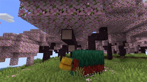 Mojang Announces New Cherry Blossom Biome Coming To Minecraft With 1 20