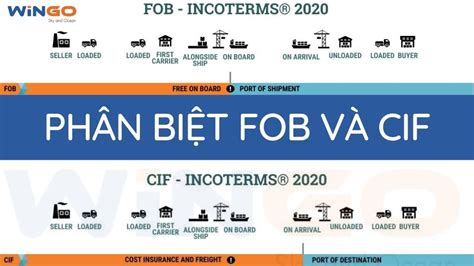 FOB Là Gì Tìm Hiểu Về Giá Fob Trong Xuất Nhập Khẩu