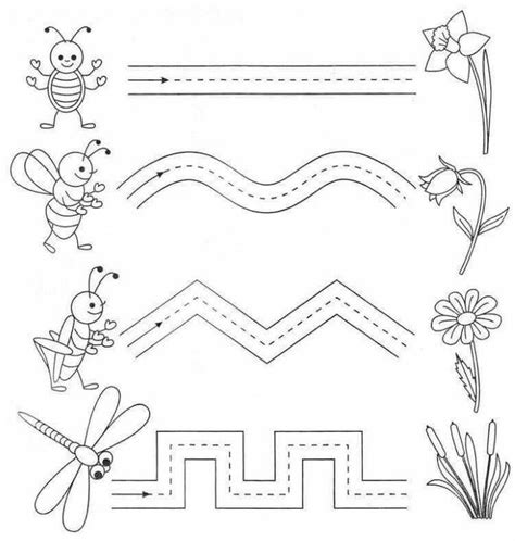 32 Desenhos para tracejar Educação Infantil Aluno On