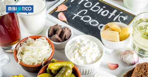 Cuándo es el mejor momento para tomar probióticos mibiotico