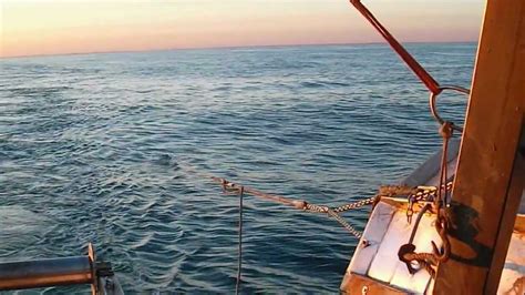 Pesca A Strascico YouTube