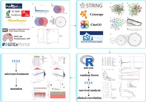 Frontiers Network Pharmacology And Inflammatory Microenvironment