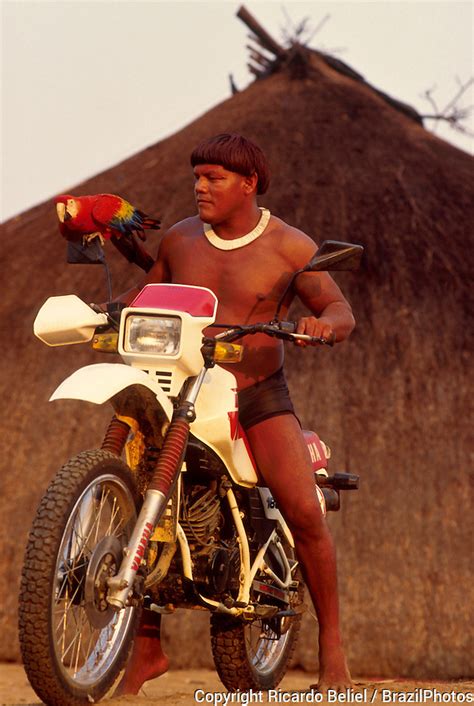 Indigenous People Of Brazil Artofit