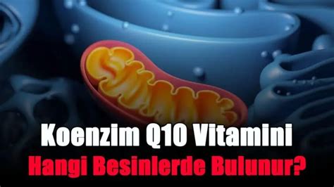 Koenzim Q10 Vitamini Hangi Besinlerde Bulunur Fit Ve Form