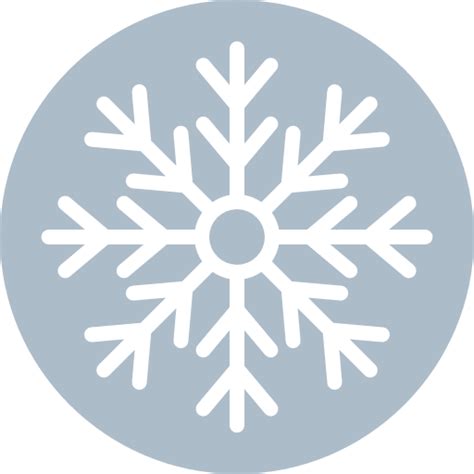 Icono De Copo De Nieve Octopocto Lineal Color