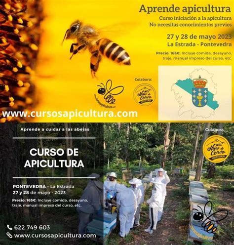 Curso de Iniciación a la Apicultura en el mes de mayo en A Estrada