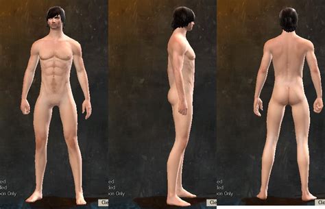 Guild Wars 2 Nude Telegraph